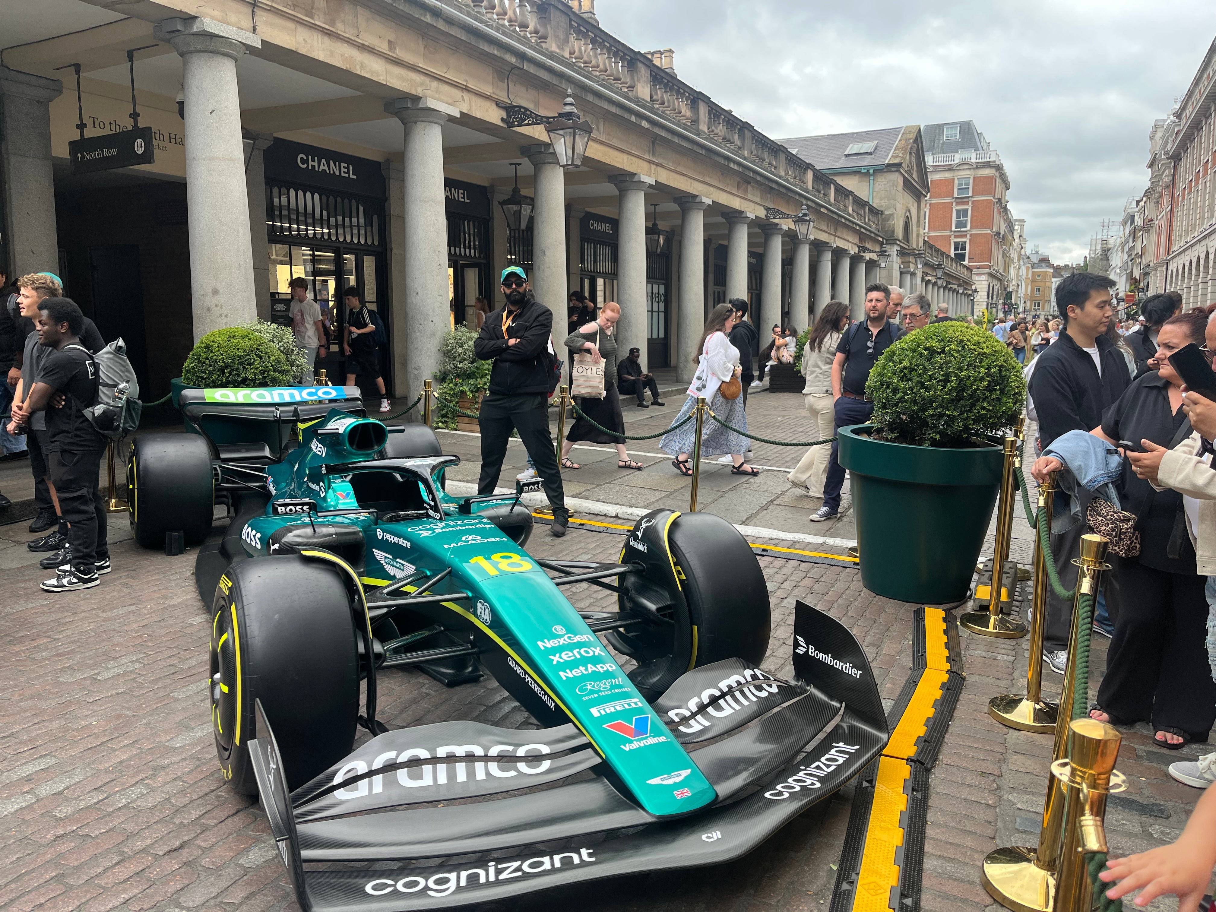 The British Head Turners – Bigplantpots