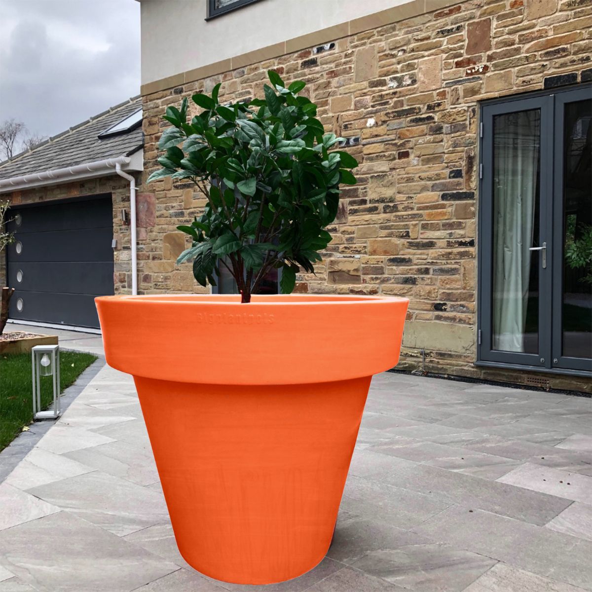 Orange plant pot store